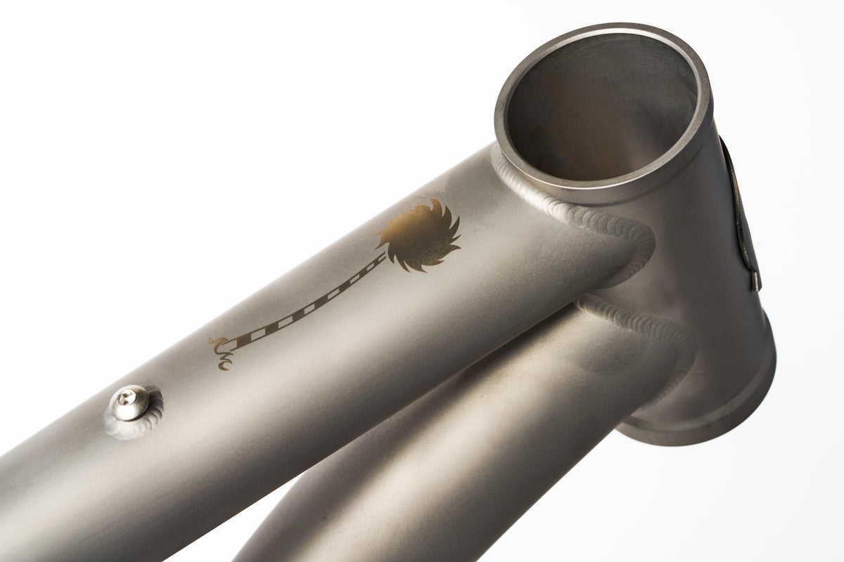 Esker Cycles Lorax Titanium Single Speed